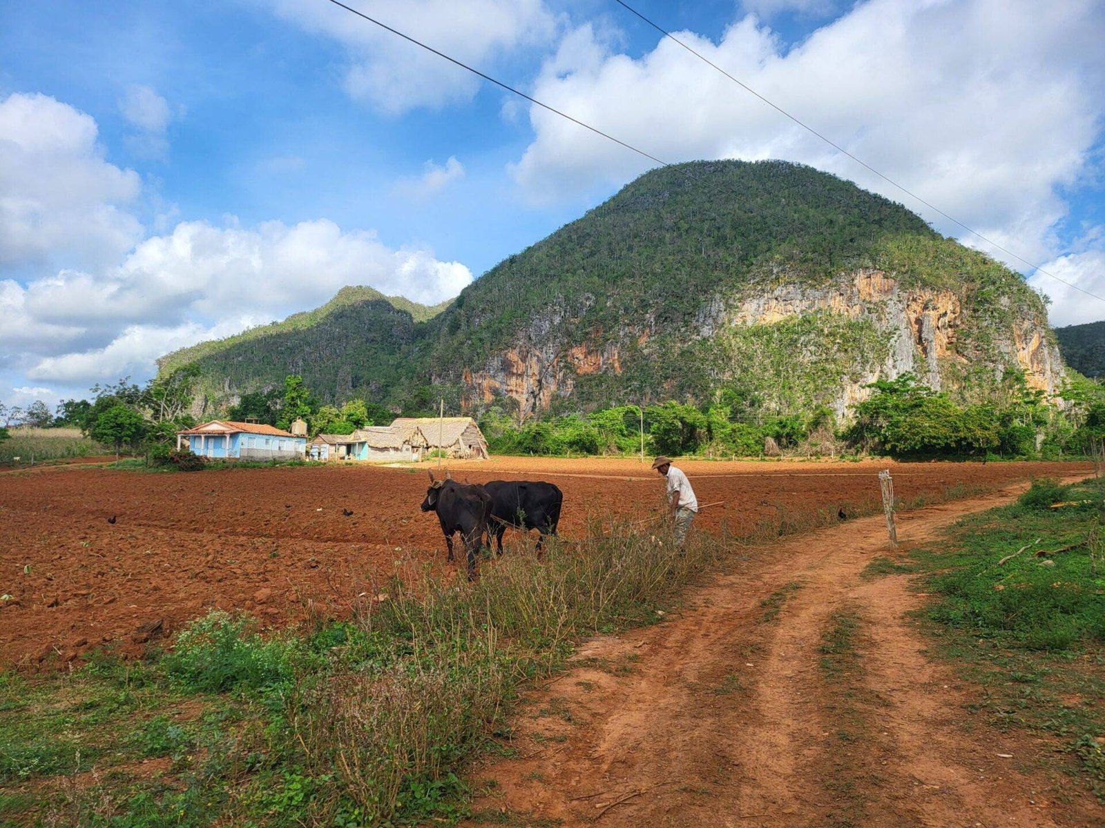 Experience the Magic of Western Cuba: Your Ultimate 8-Day Adventure Awaits!